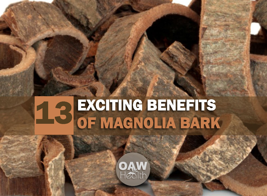 13 Exciting Health Benefits of Magnolia Bark - OAWHealth
